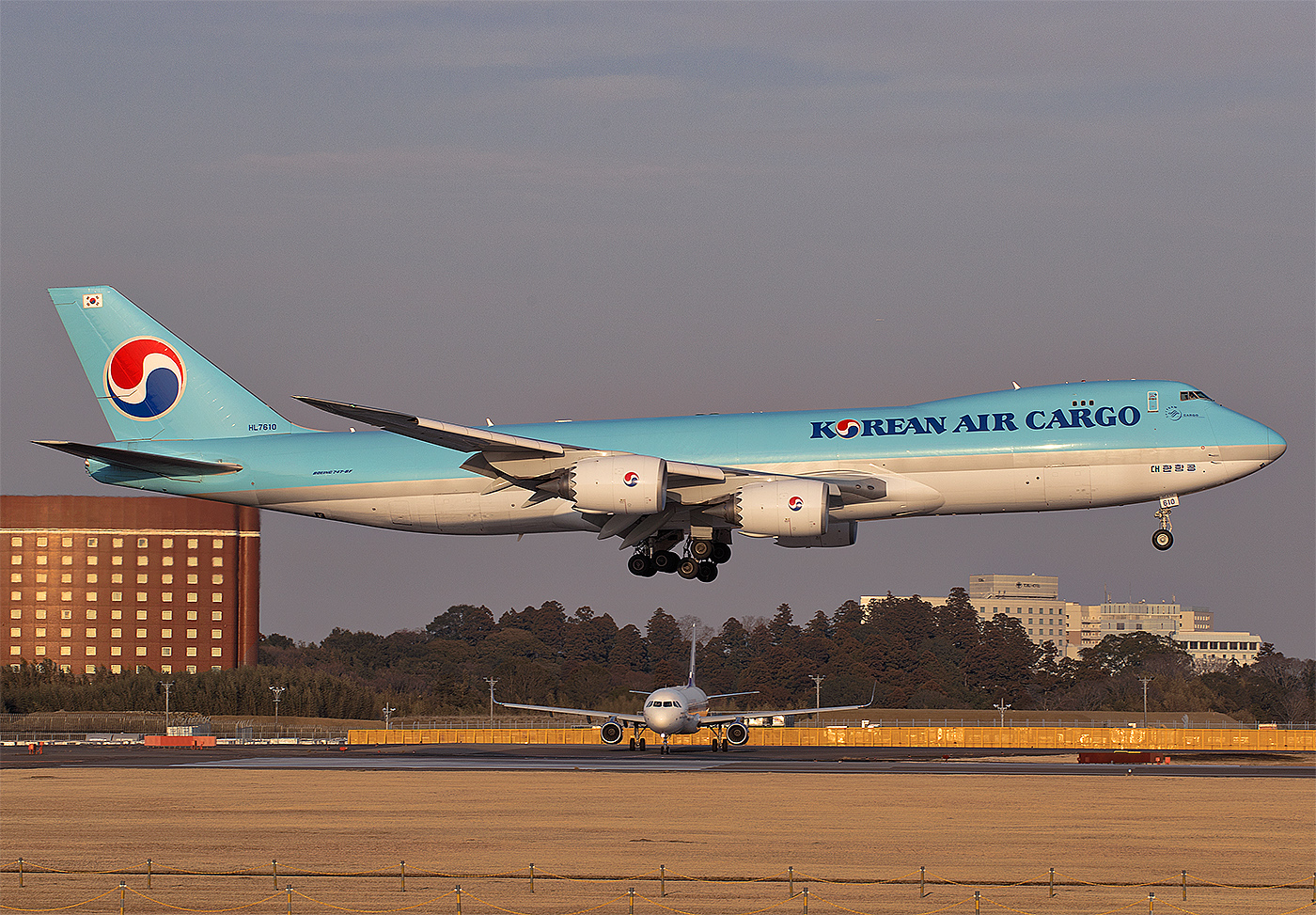 Korean Air Cargo Logo